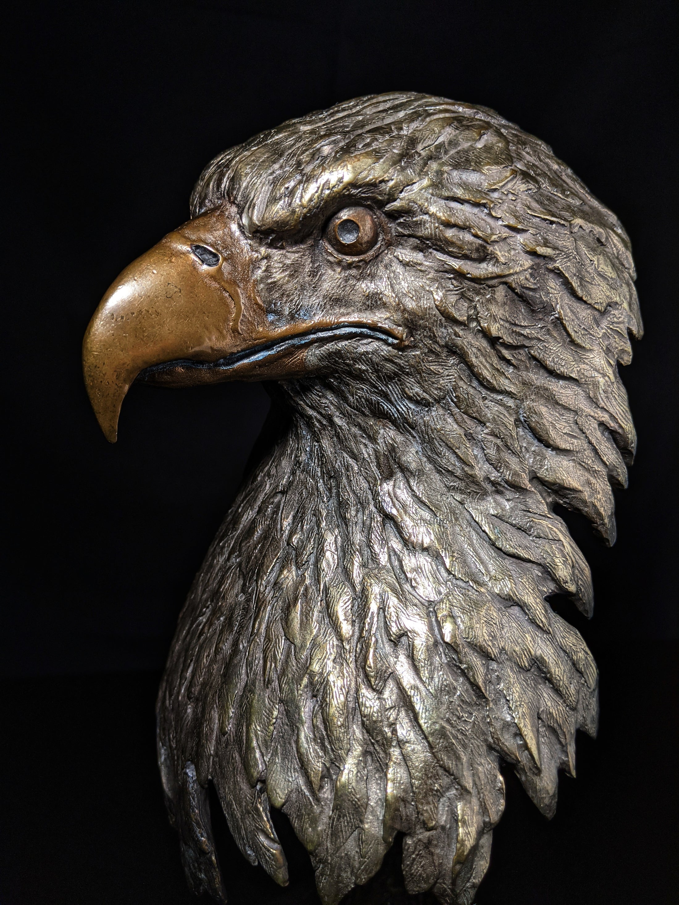 Mark Hopkins bronze Majesty Eagle – BG Gear Co